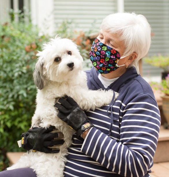 Breathe Healthy Masks keeps you protected from pet hair, dander ...